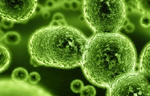 How to Keep Your Mobile Phones Clean and Germ-Free