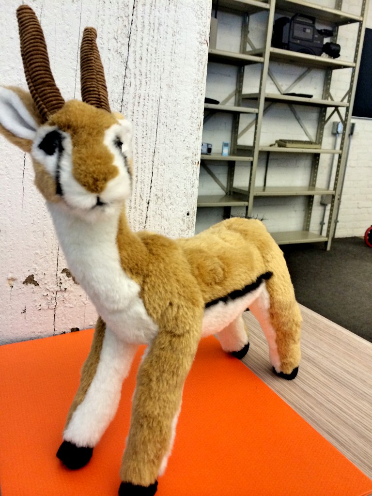 Wonder Where Your Used Gadgets End Up? Take a Look Inside Gazelle’s ...