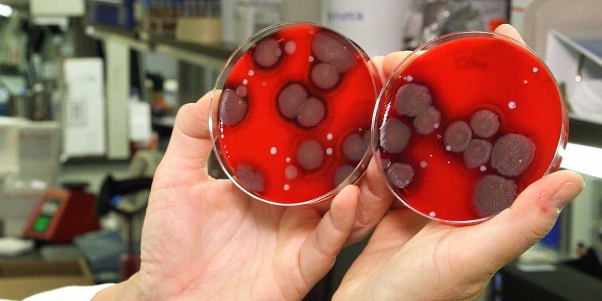 Is Your Cell Phone Making You Sick? The Truth about Your Phone and Your ...